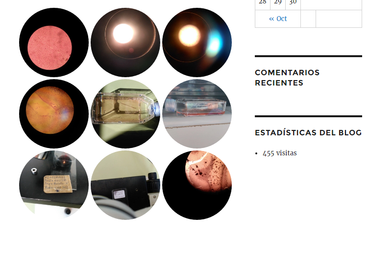 BLOGS CIENTÍFICOS 2016/2017 | La profe de Bio