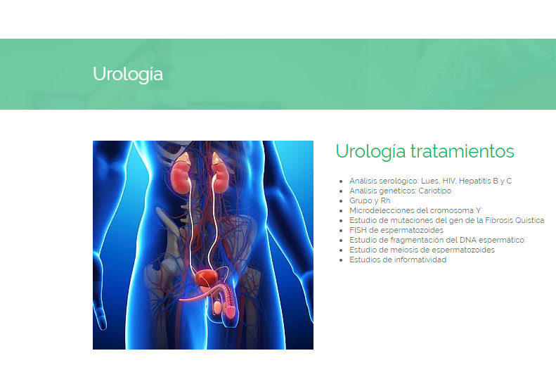 EL APARATO REPRODUCTOR – CLÍNICA DE REPRODUCCIÓN | La profe de Bio