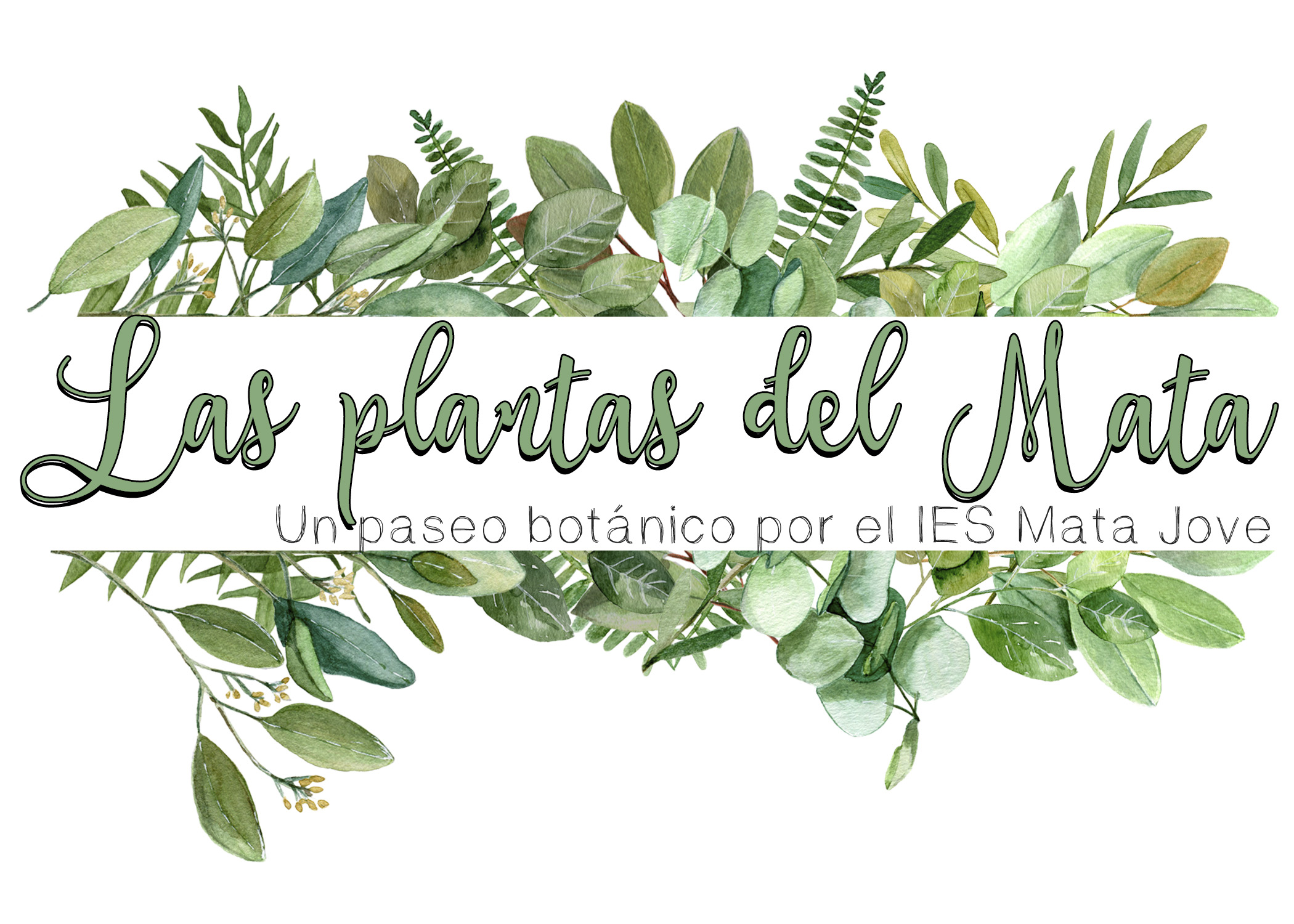 Las plantas del Mata | La profe de Bio